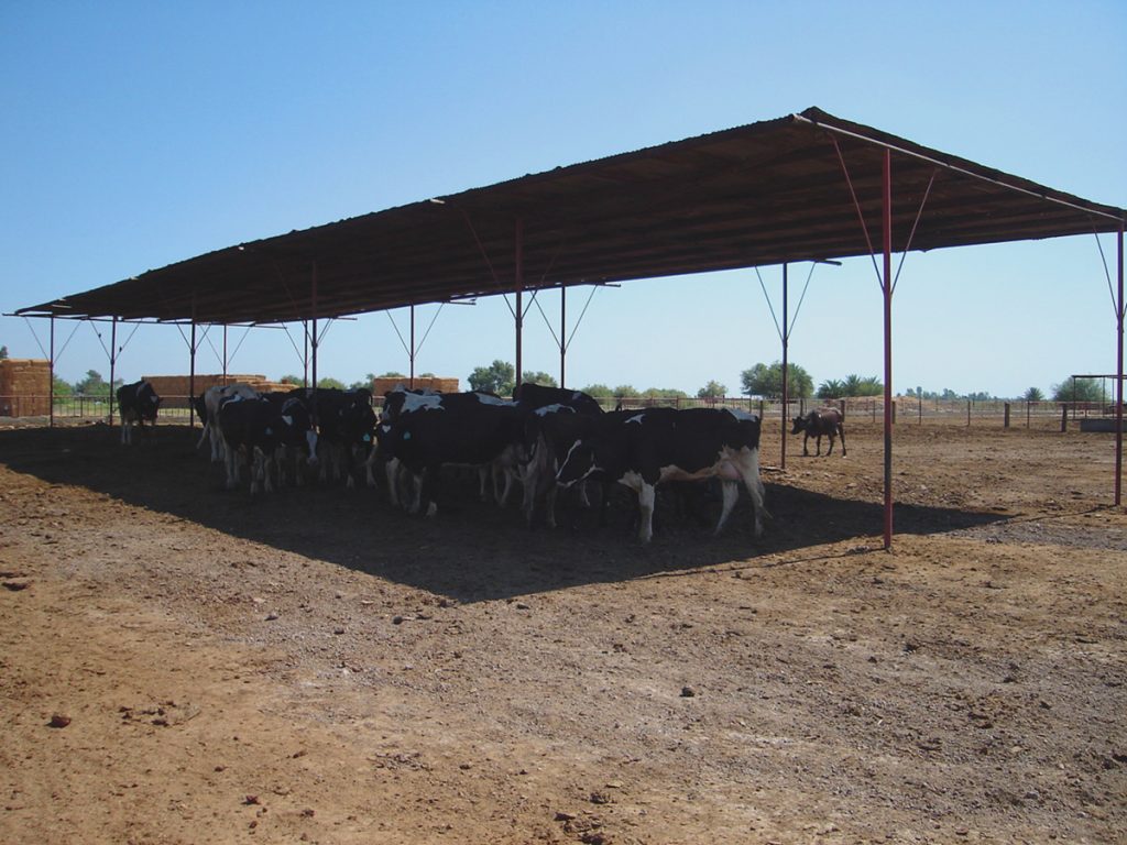 Livestock Shading Structure | Direct Shade cloth & Plastic mesh Factory